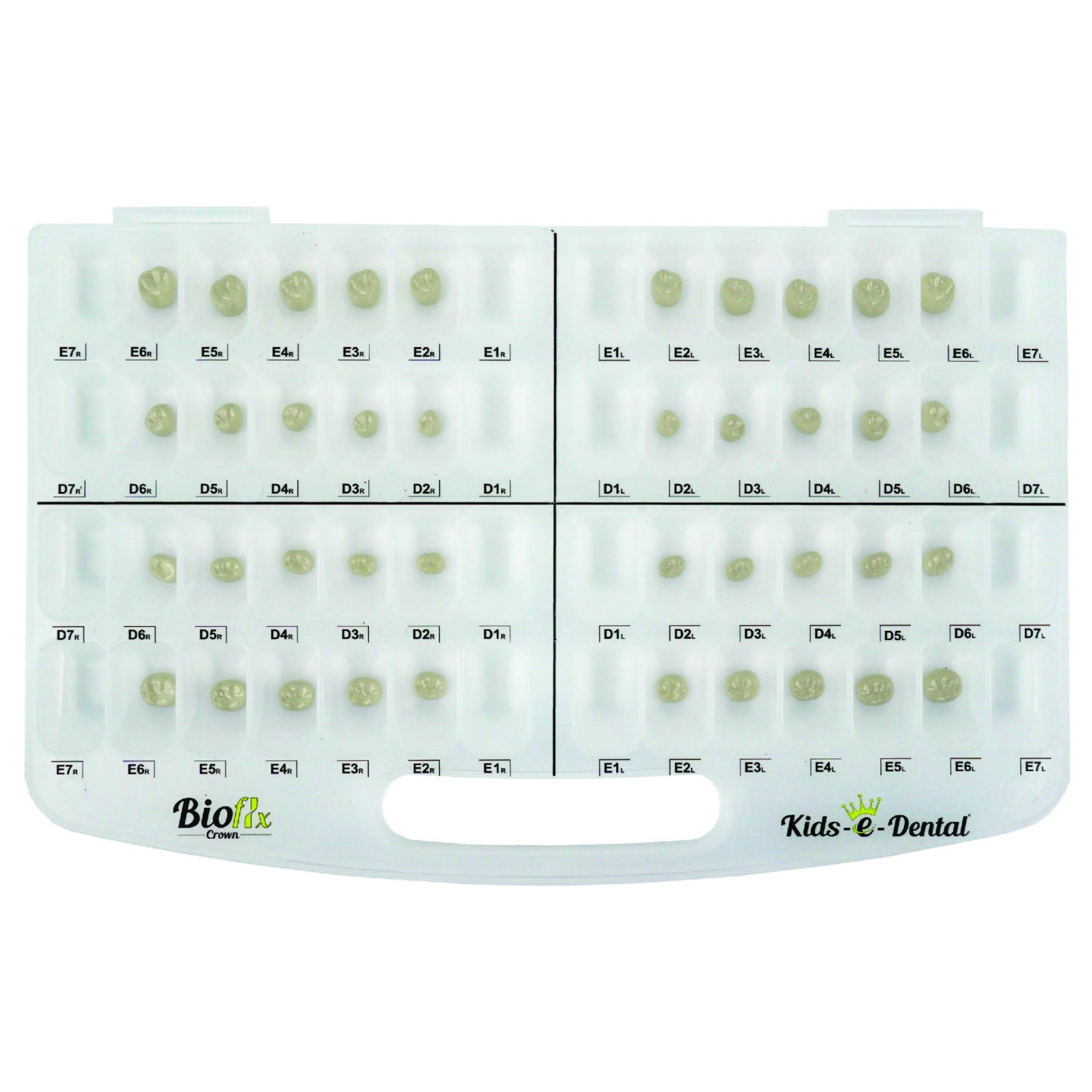 Bioflx Posterior Starter Kit | Kidsedental