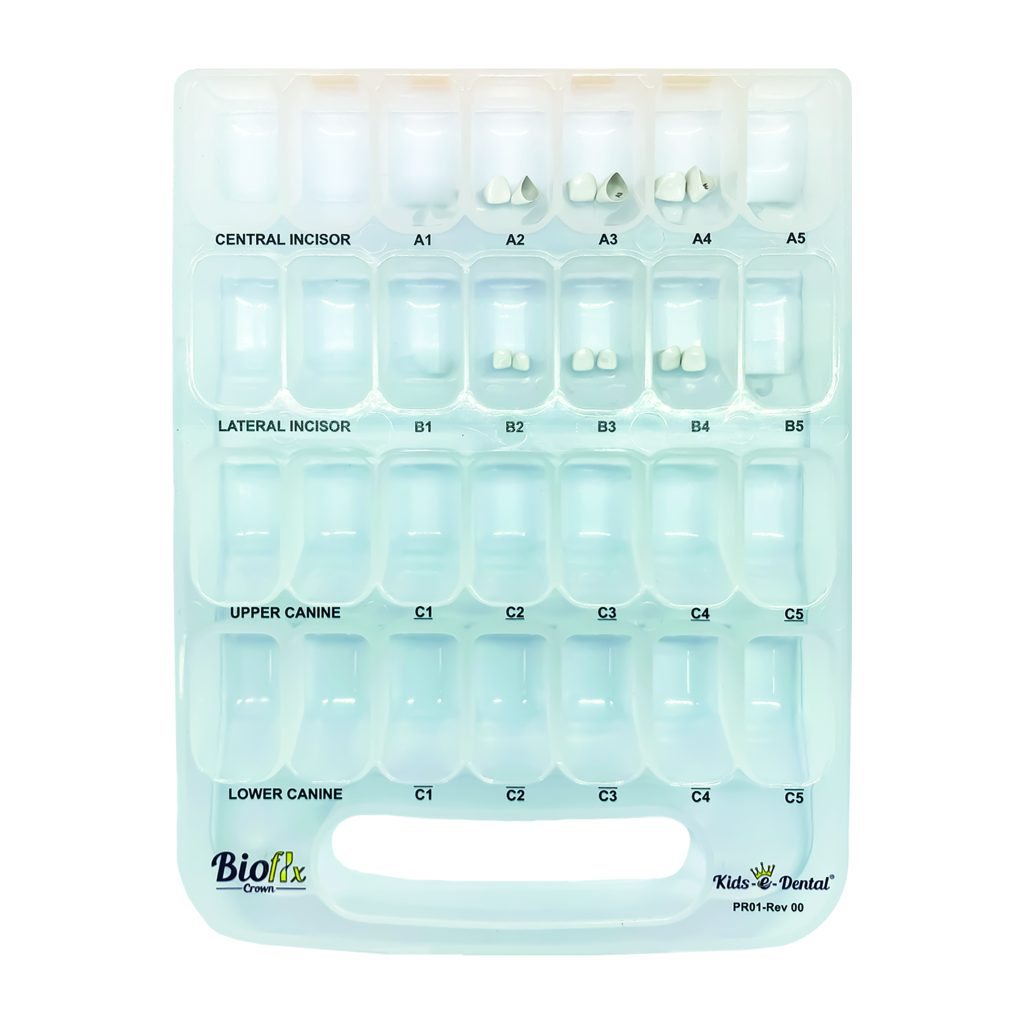 Bioflx Anterior Central & Lateral Incisors Starter Kit | Kidsedental