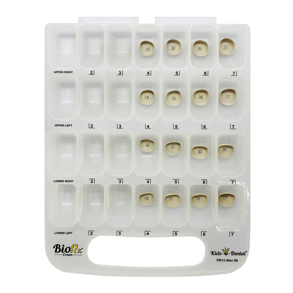 Bioflx Permanent Molar Crowns Starter Kit | Kidsedental