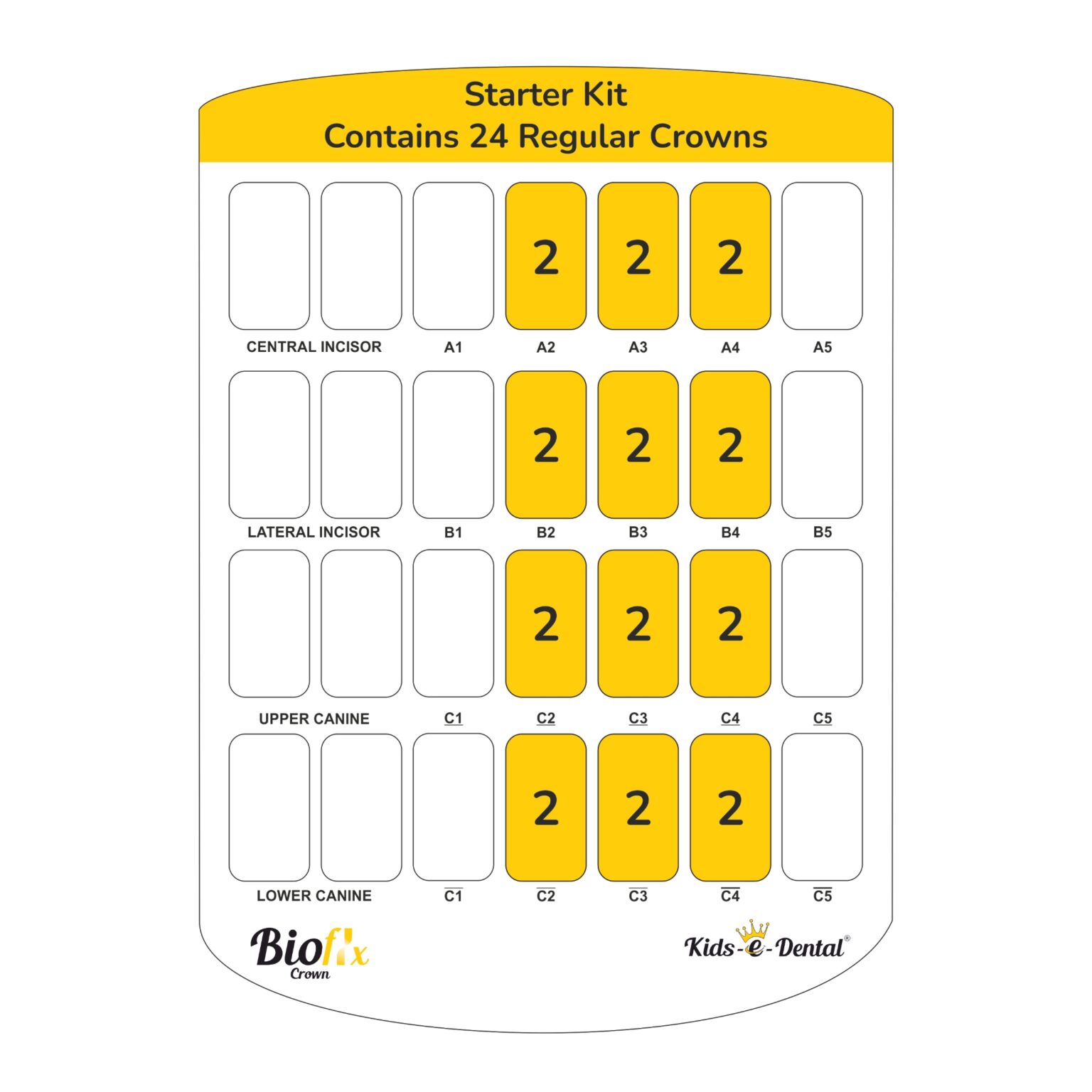 Bioflx Crowns Anterior Starter Kit | Kidsedental